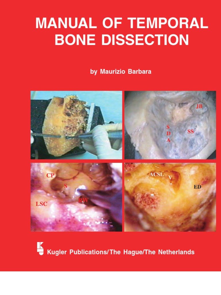 Manual of Temporal Bone Dissection | Download Free PDF | Ear ...