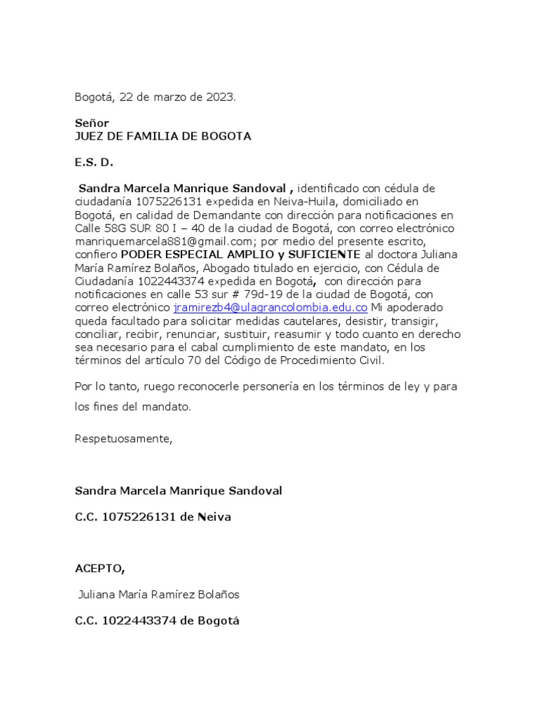 Modelo Poder Especial | PDF