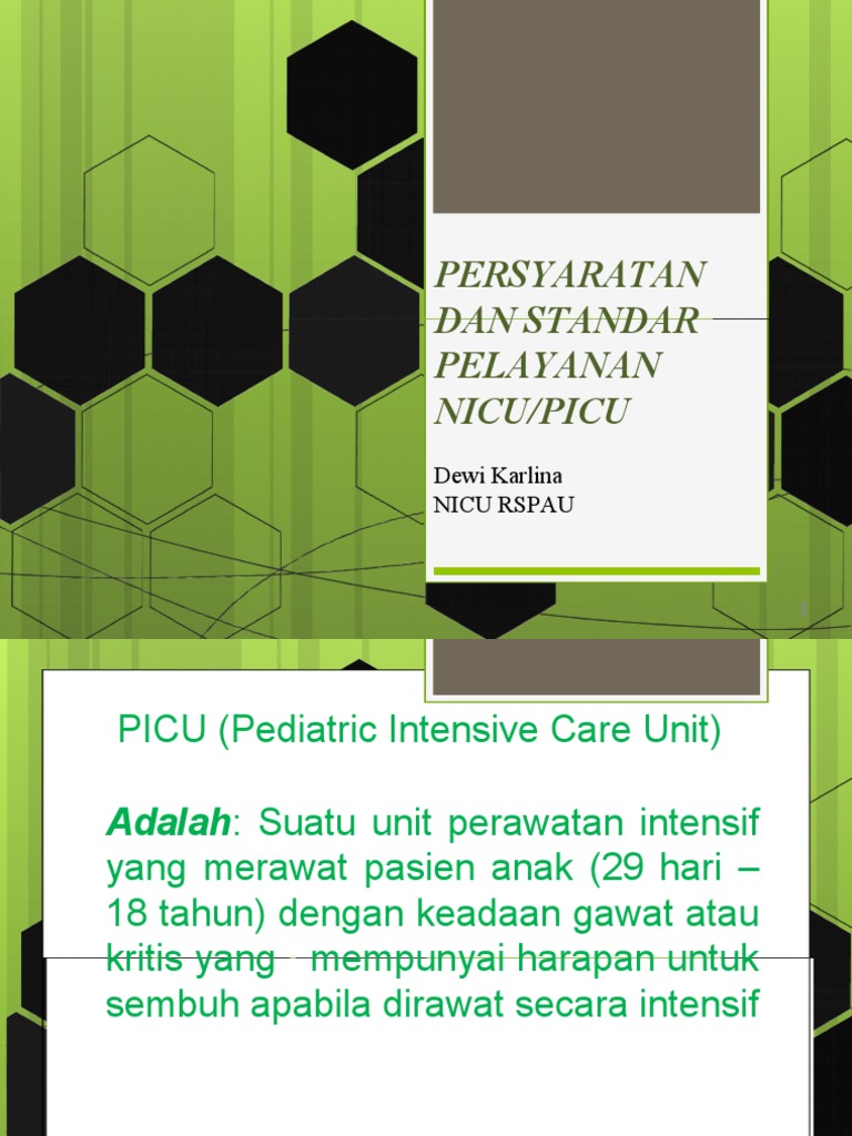 Standar Pelayanan NICU/PICU RSPAU | PDF | Kesehatan Holistik | Sains & Matematika