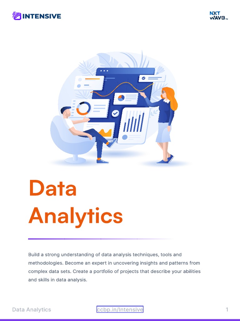 Data Analytics Intensive Curriculum Pdf 