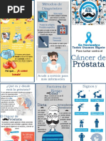 Tríptico de Cáncer de Próstata. | PDF | Cancer de prostata | Cáncer