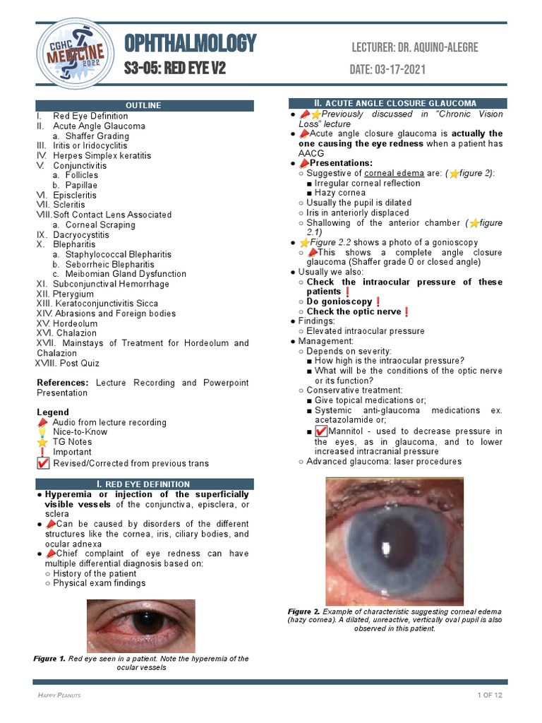 S3-05 Ophthalmology Red Eye (v2) (1).pdf | PDF | Glaucoma | Human Eye