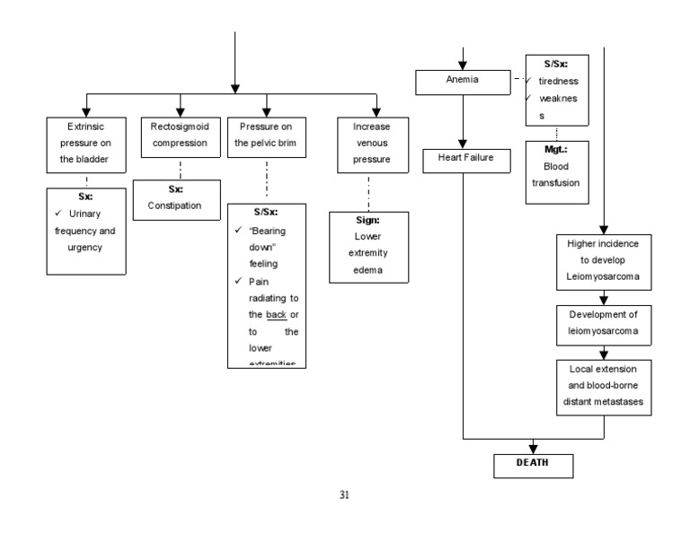 Diagram Myoma III | Medical Specialties | Clinical Medicine
