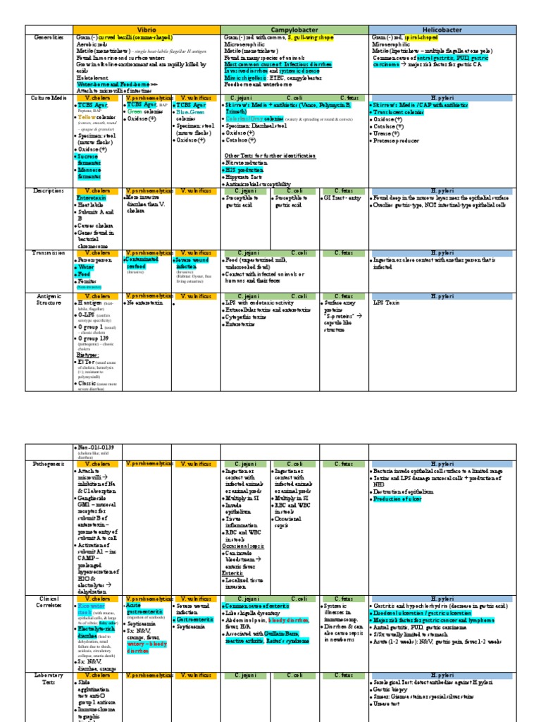 2.01 - Vibrio, Campylobacter, Helicobacter | PDF | Cholera | Diarrhea