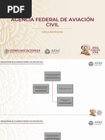 Organigrama Afac 2024 05062024 | PDF