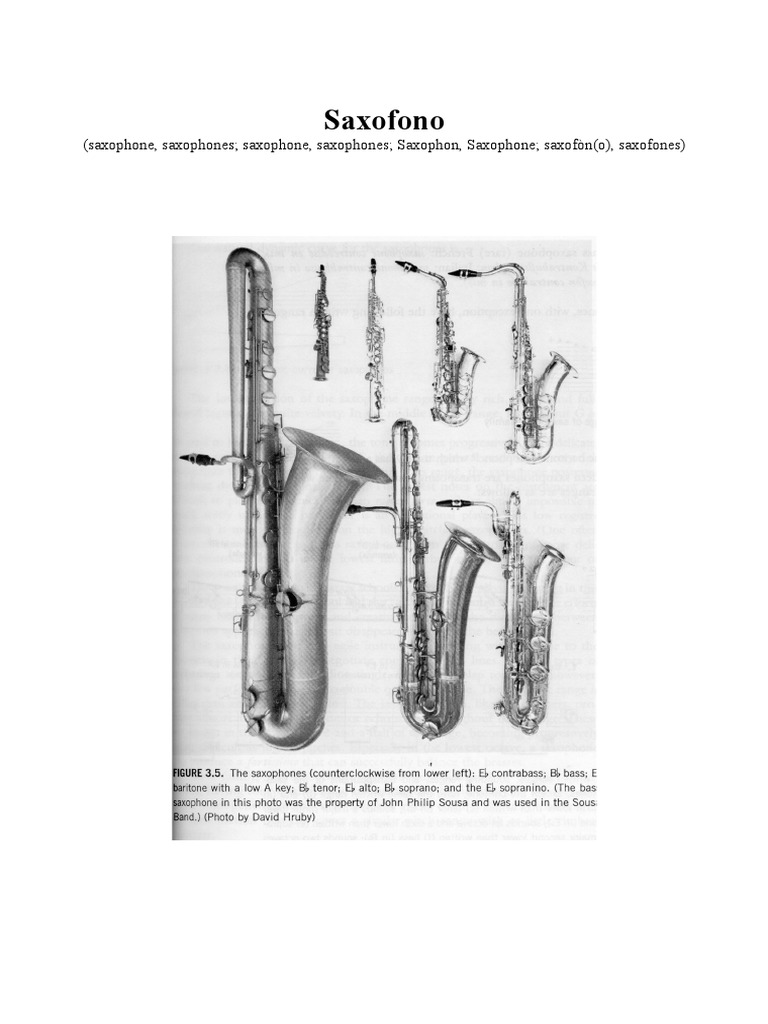 Saxofono Overview | PDF