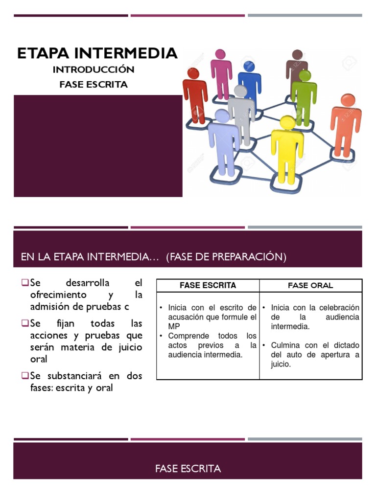 Etapa Intermedia. Fase Escrita | PDF | Sentencia (ley) | Gobierno