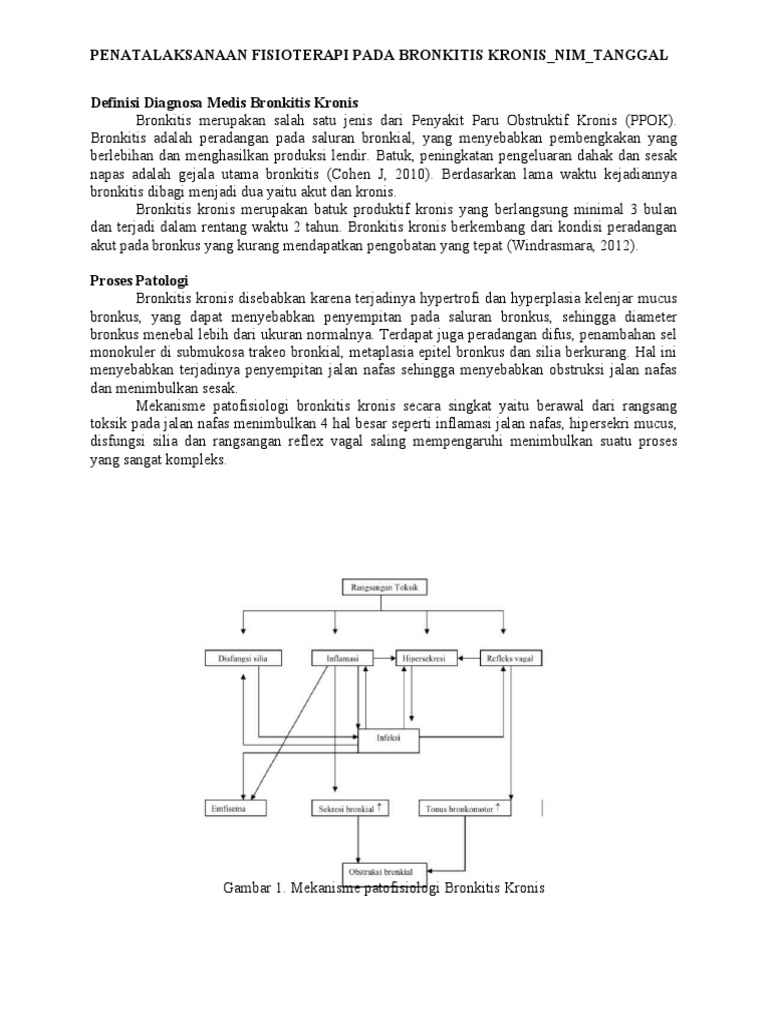 Bronkitis Kronis-0987 | PDF