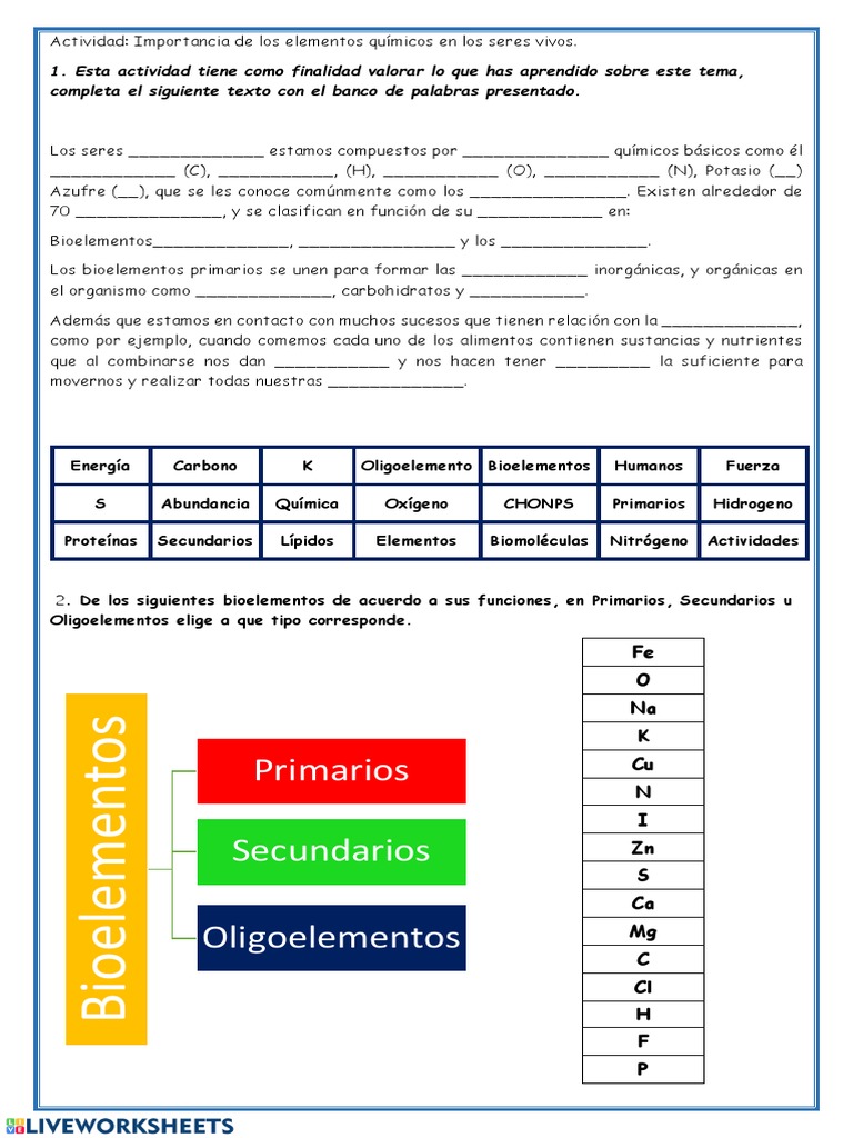 Actividades Sobre Bioelementos Y Funciones Pdf Nutrientes