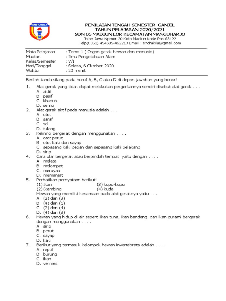 PTS Ipa Tema 1 | PDF