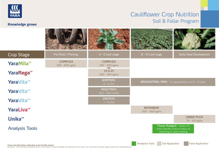 Cauliflower Crop Program PDF | PDF | Horticulture | Organisms