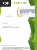 Phân Tích Phim Cephalometric Theo Ricketts 1 | PDF