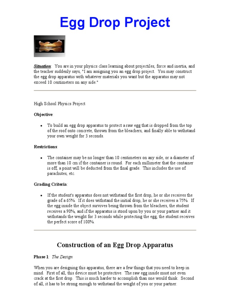Egg Drop Project | PDF