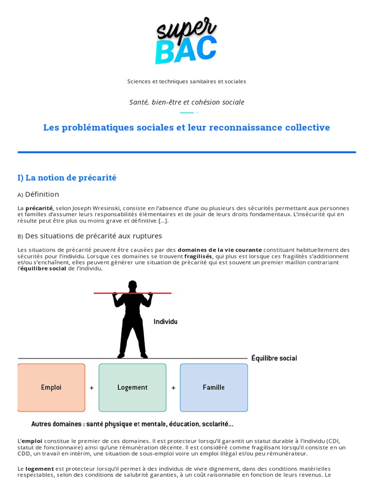 Précarité et Cohésion Sociale | PDF | Pauvreté | Pauvreté et sans-abri