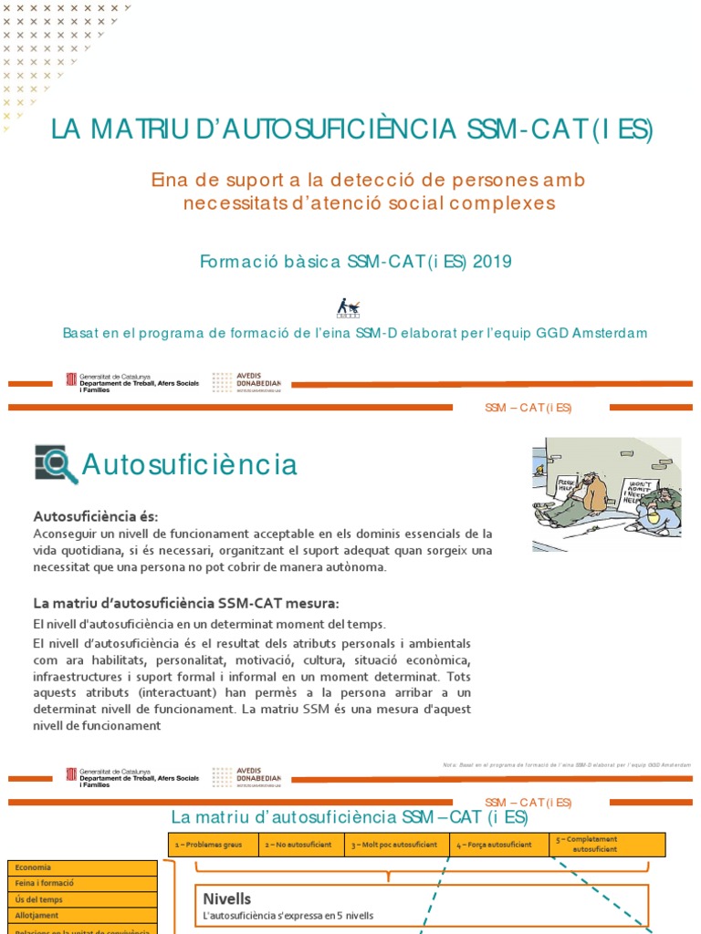 Formació Bàsica SSM-CAT - Rev PDF | PDF