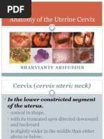Cervical Anatomy: SCJ and Transformation Zone | PDF | Epithelium ...