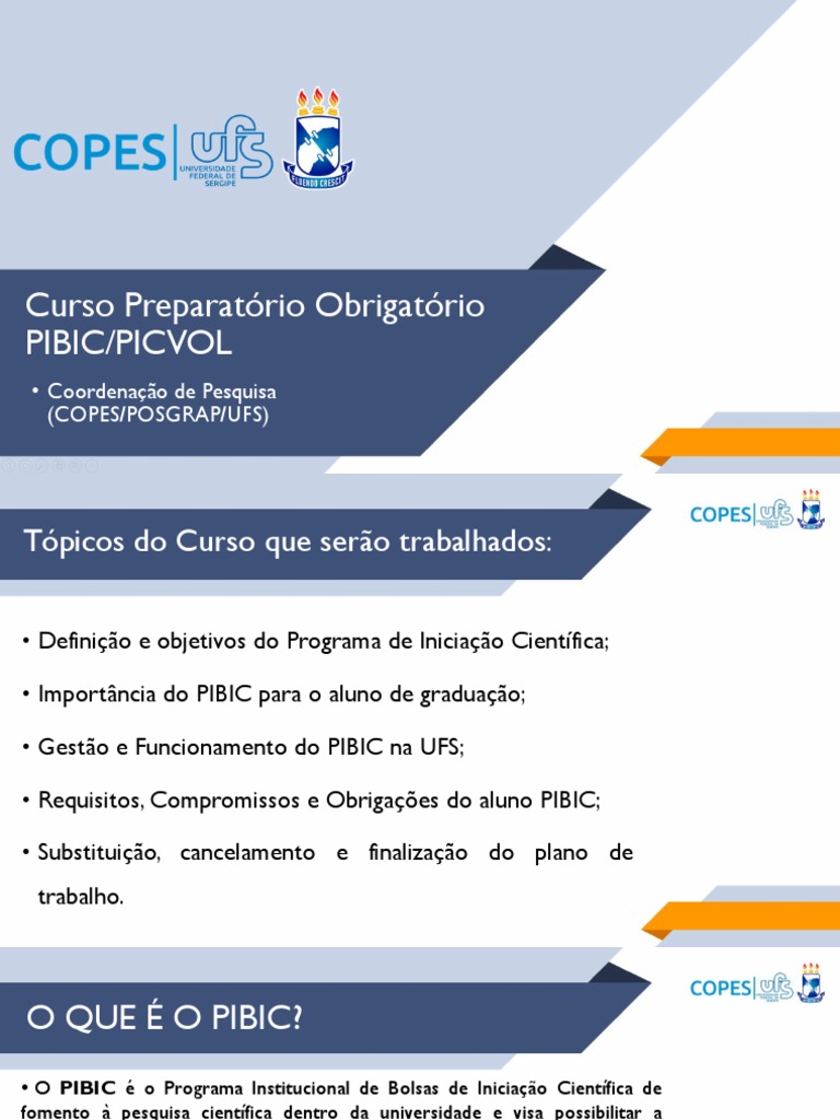 Apresentação Do PIBIC PDF | PDF