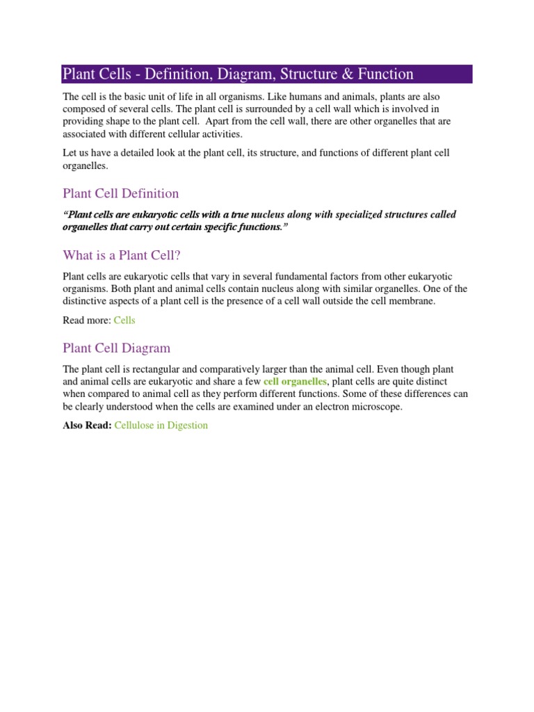 Plant Cells PDF | PDF | Cell (Biology) | Chloroplast