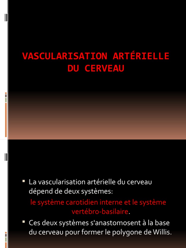 15 - Vascularisation | PDF | Cervelet | Tête et cou chez l'humain
