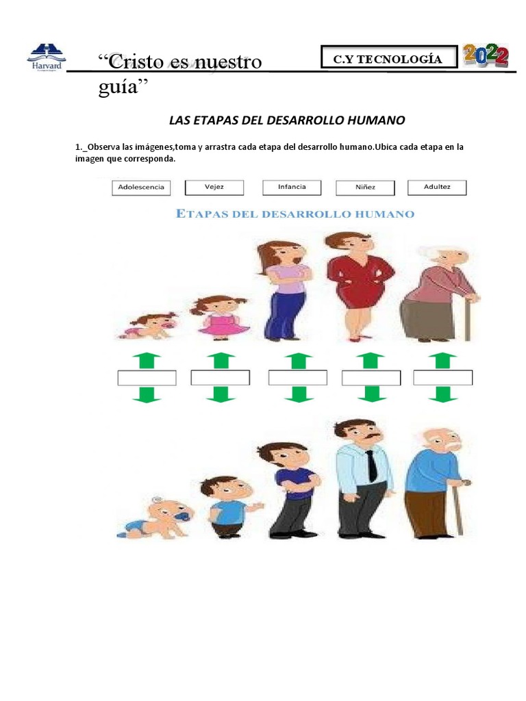 Las Etapas Del Desarrollo Humano | PDF