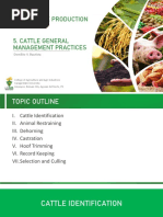 Animal Production & Management PPT Up To Chapter 4 | PDF | Dairy Cattle ...