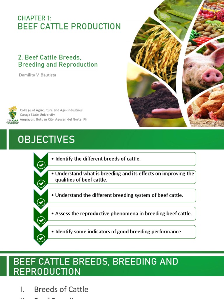 Breeds, Breeding and Reproduction - PDF | PDF | Cattle | Luteinizing ...