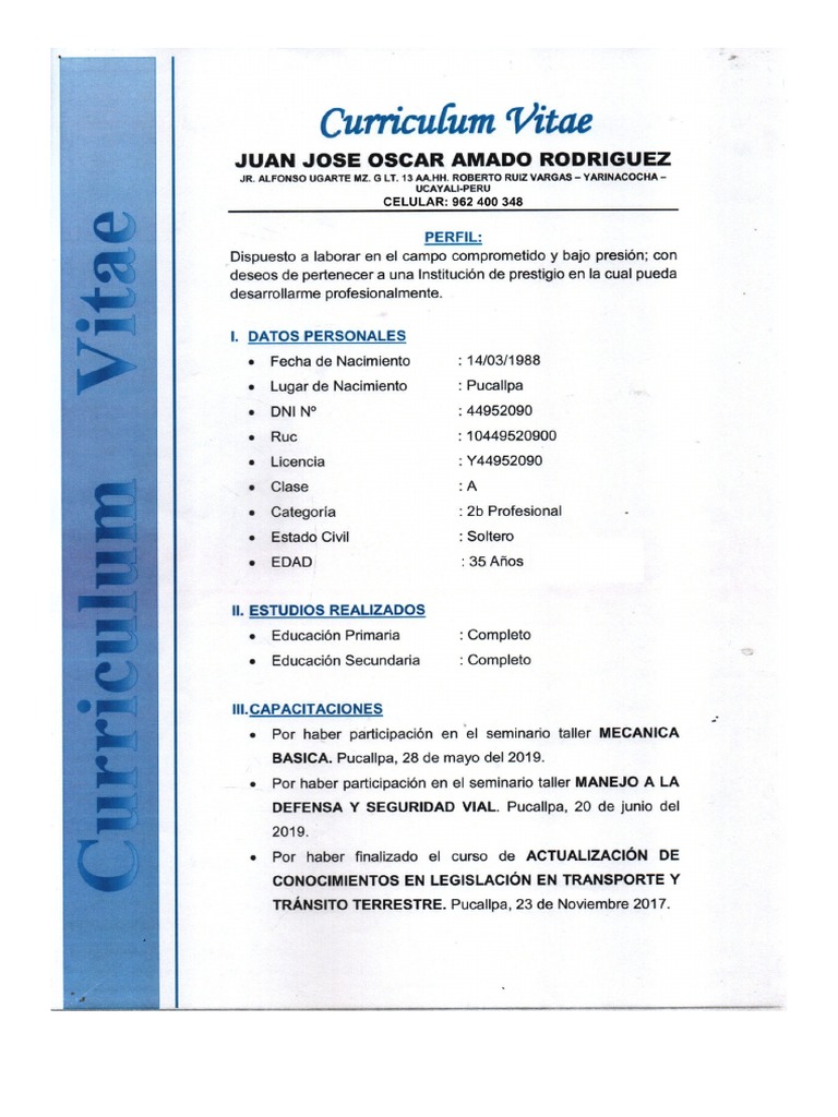 CV Documentado 2023 | PDF