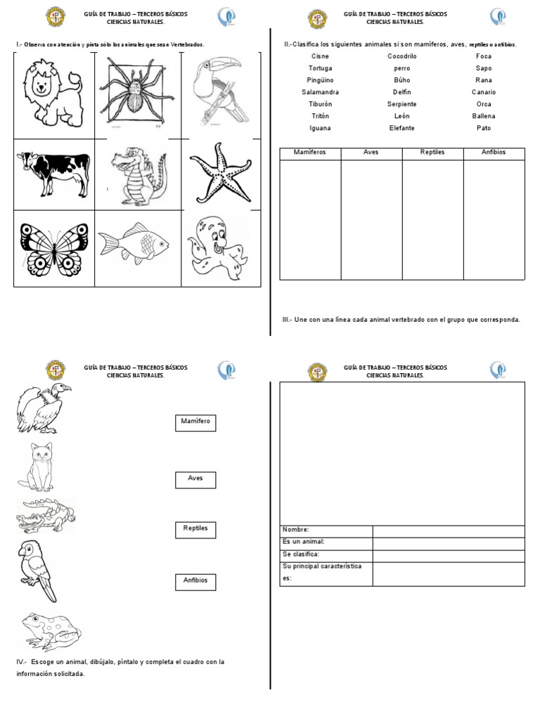 Guía 3° Animales Vertebrados | PDF | Reptil | Organismos