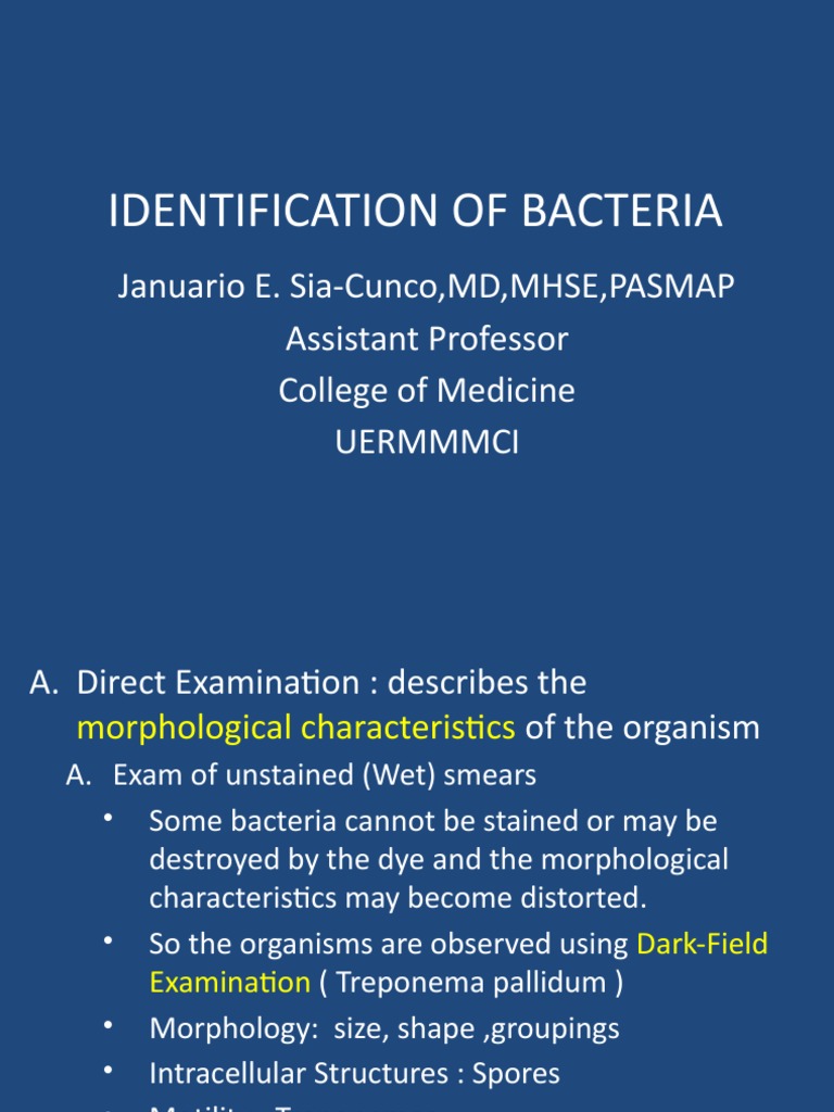 MicroLab - Identification of Bacteria - Dr. Sia-Cunco | PDF | Staining | Streptococcus