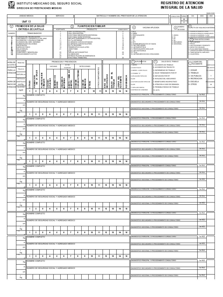 Formato Rais Electronico 2022 Modif | PDF | Control de la natalidad ...