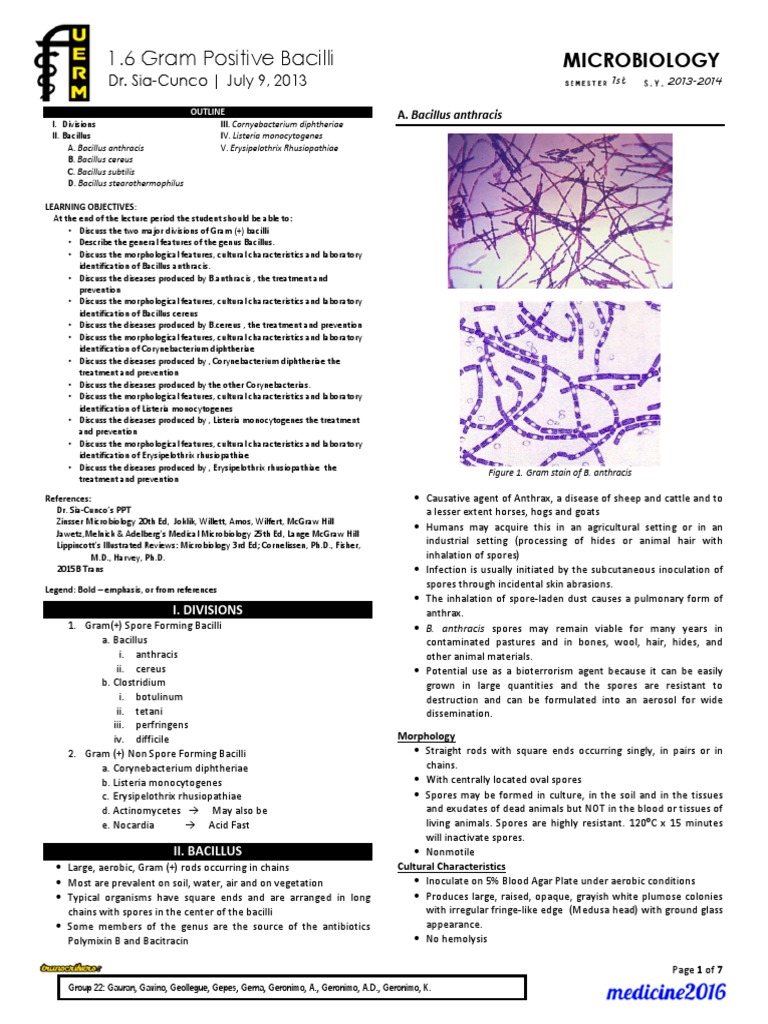 Microbiology 1.6 Gram Positive Bacilli - Dr. Sia-Cunco | PDF | Anthrax | Bacillus