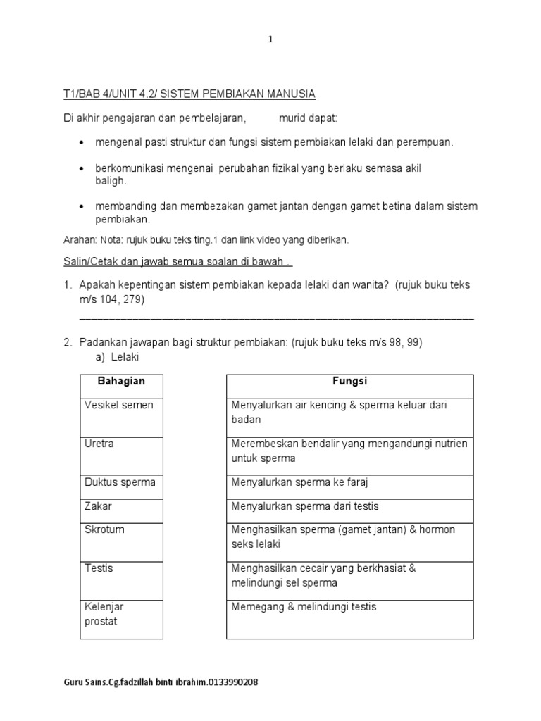 Latihan t1 Bab4 Unit 4 2 | PDF