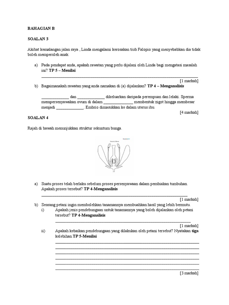 PBD 2022 BHGN B | PDF