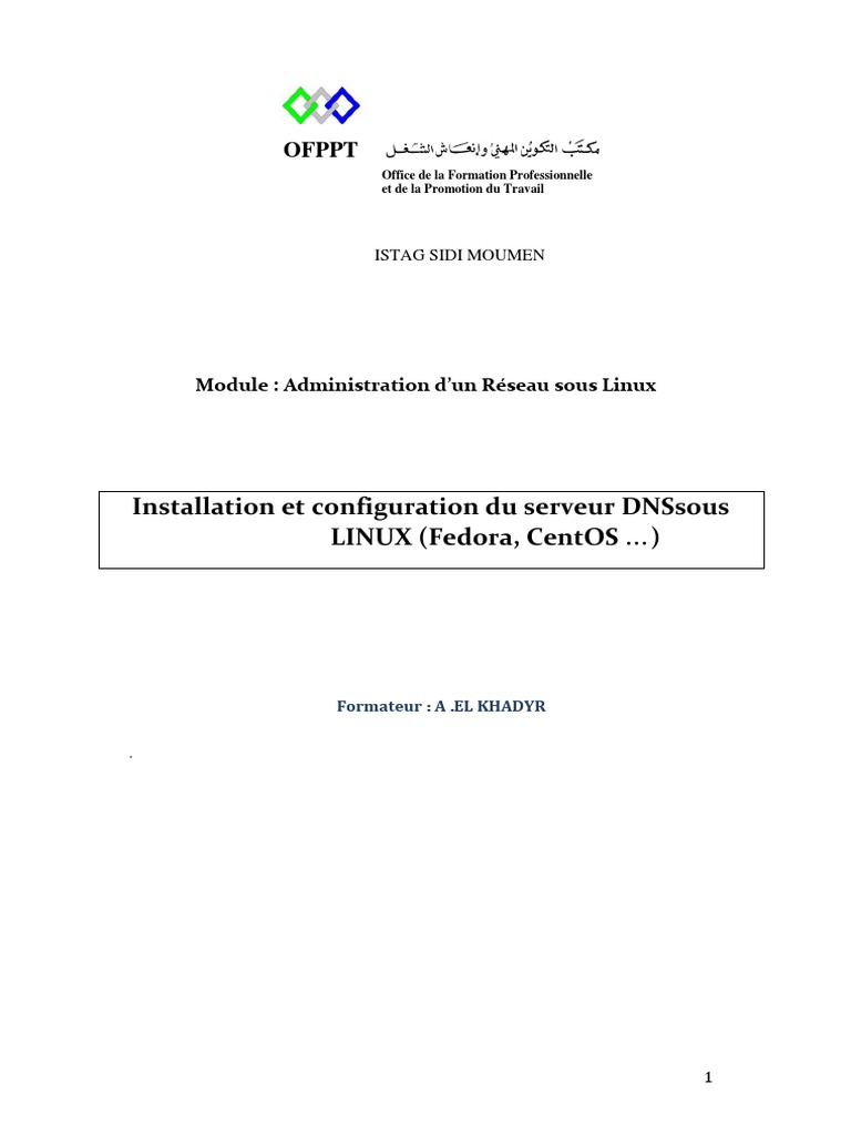 1-ServeurDNS Linux PDF | PDF | Système de noms de domaines | Ingénierie informatique