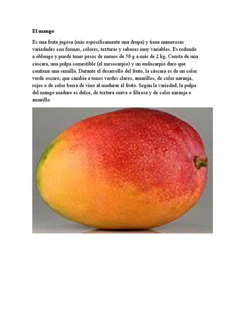 El Mango | PDF