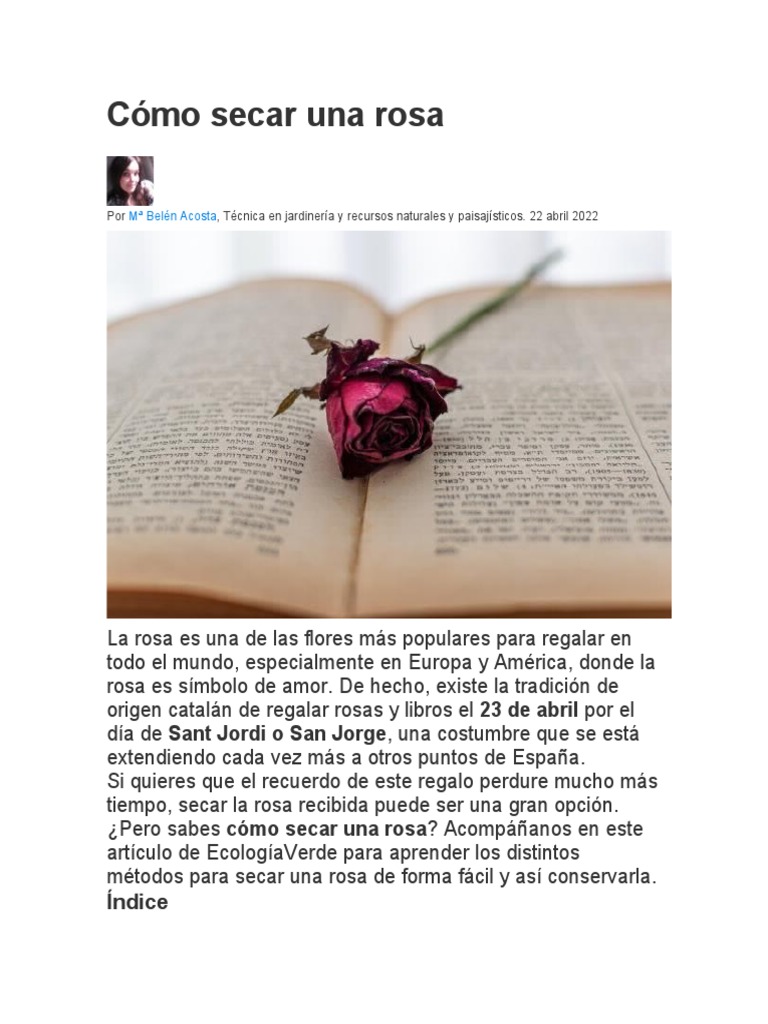 Cómo Secar Una Rosa | PDF | Rosa