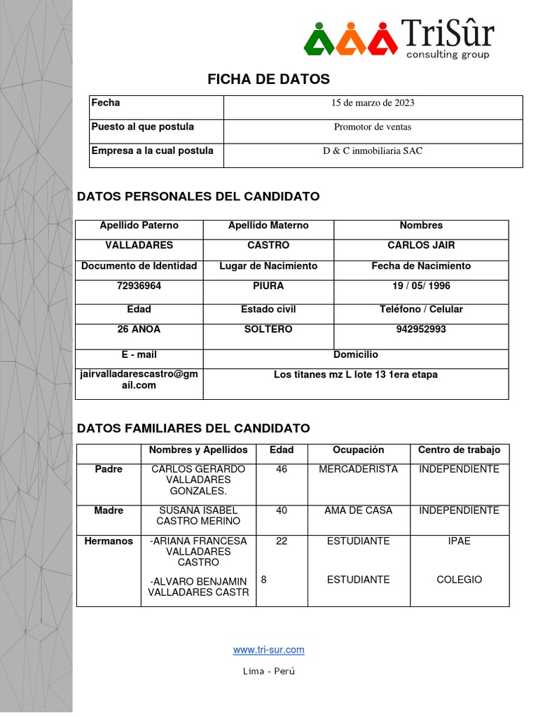 Ficha de Datos Candidatos | PDF