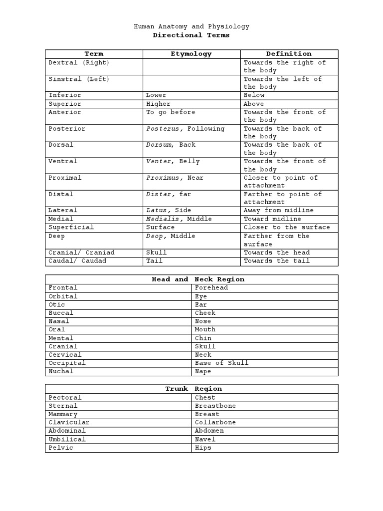 Anaphy DirectionalTerms | Download Free PDF | Anatomical Terms Of ...