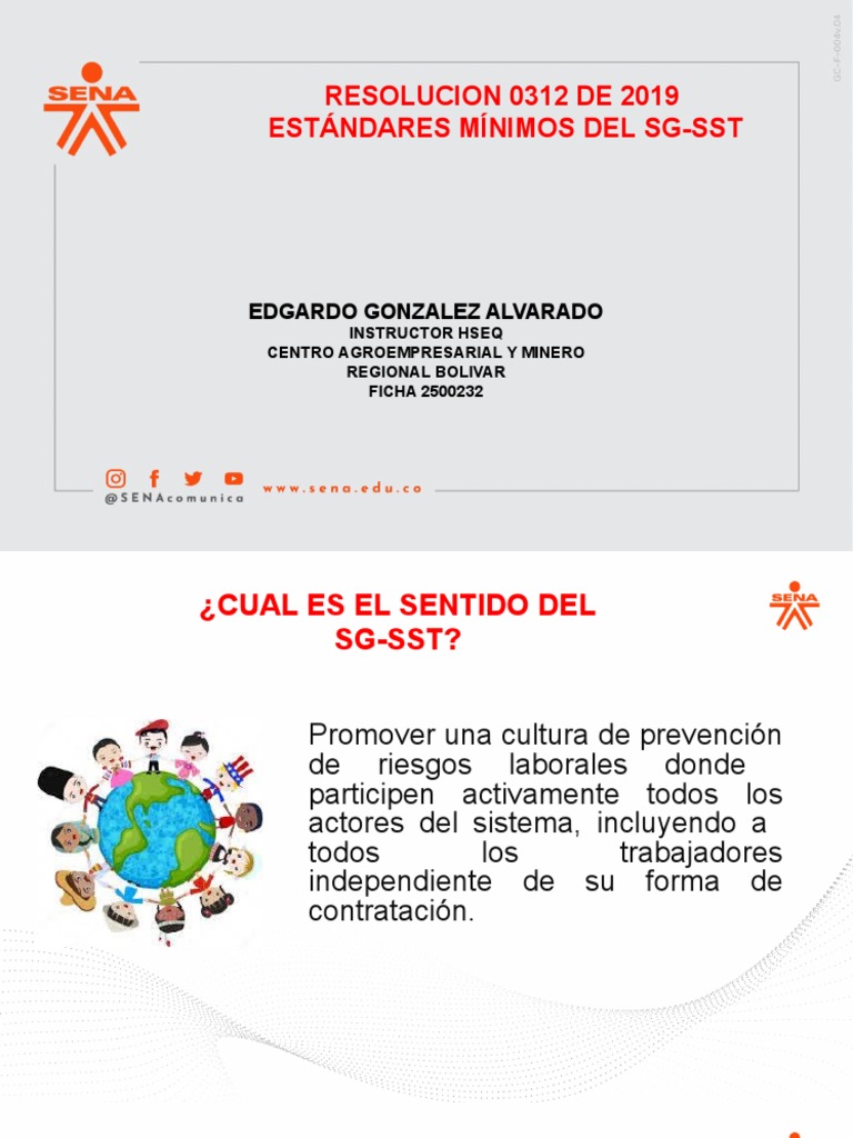 Resolucion 0312 de 2019 | PDF