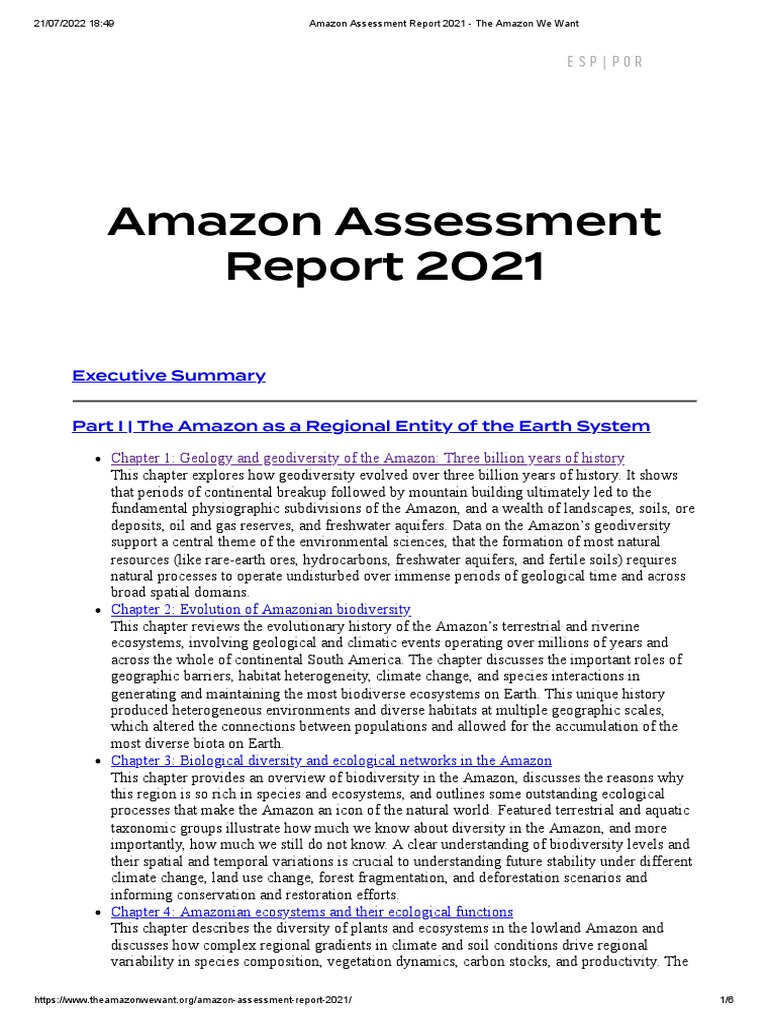 Amazon Assessment Report 2021 - The Amazon We Want | PDF | Amazon ...