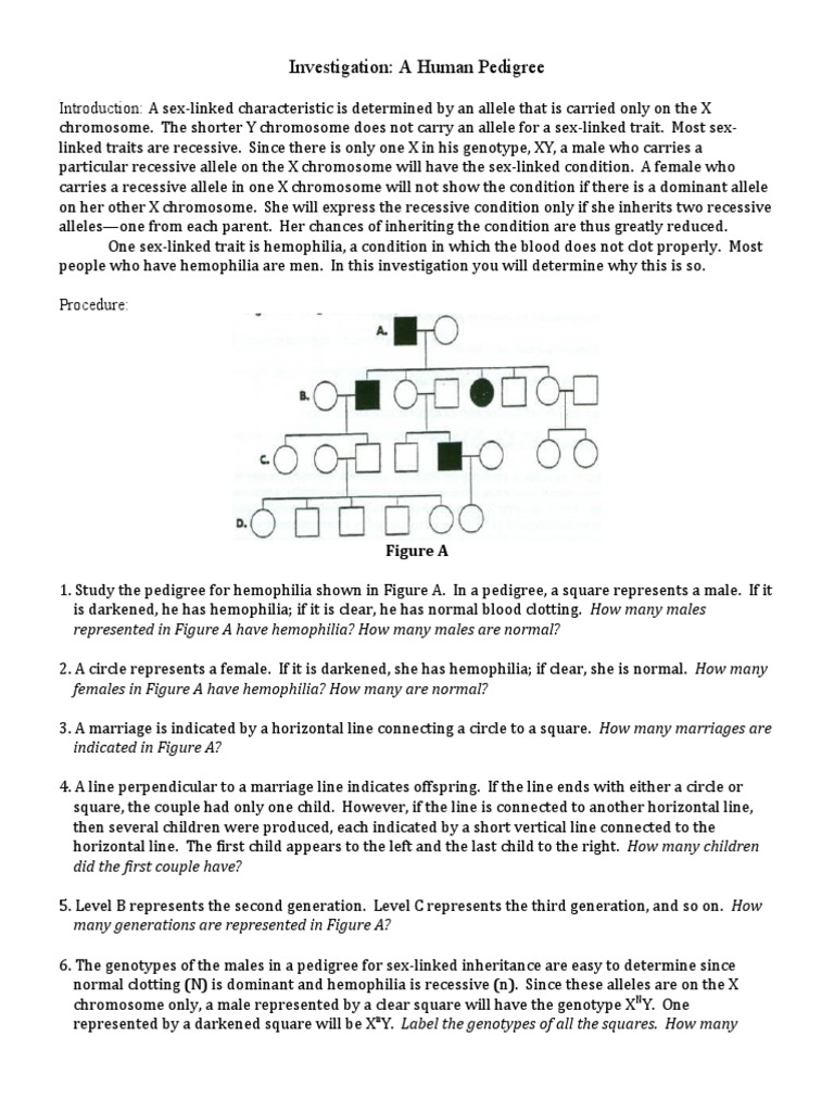 Investigation Human Pedigree | PDF | Genotype | Dominance (Genetics)