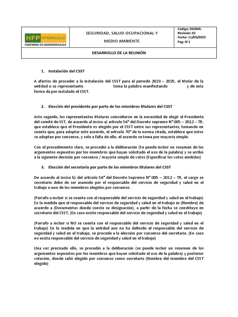Instalación y Acuerdos del CSST 2023 | PDF | Gobierno