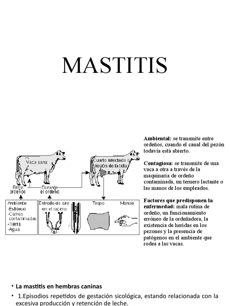 MASTITIS | PDF | Medicina CLINICA | Especialidades Medicas