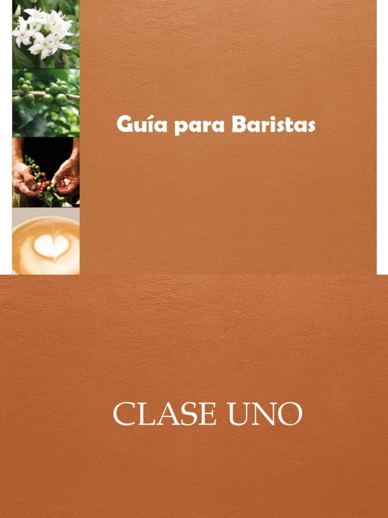 Guia para Baristas PDF | PDF