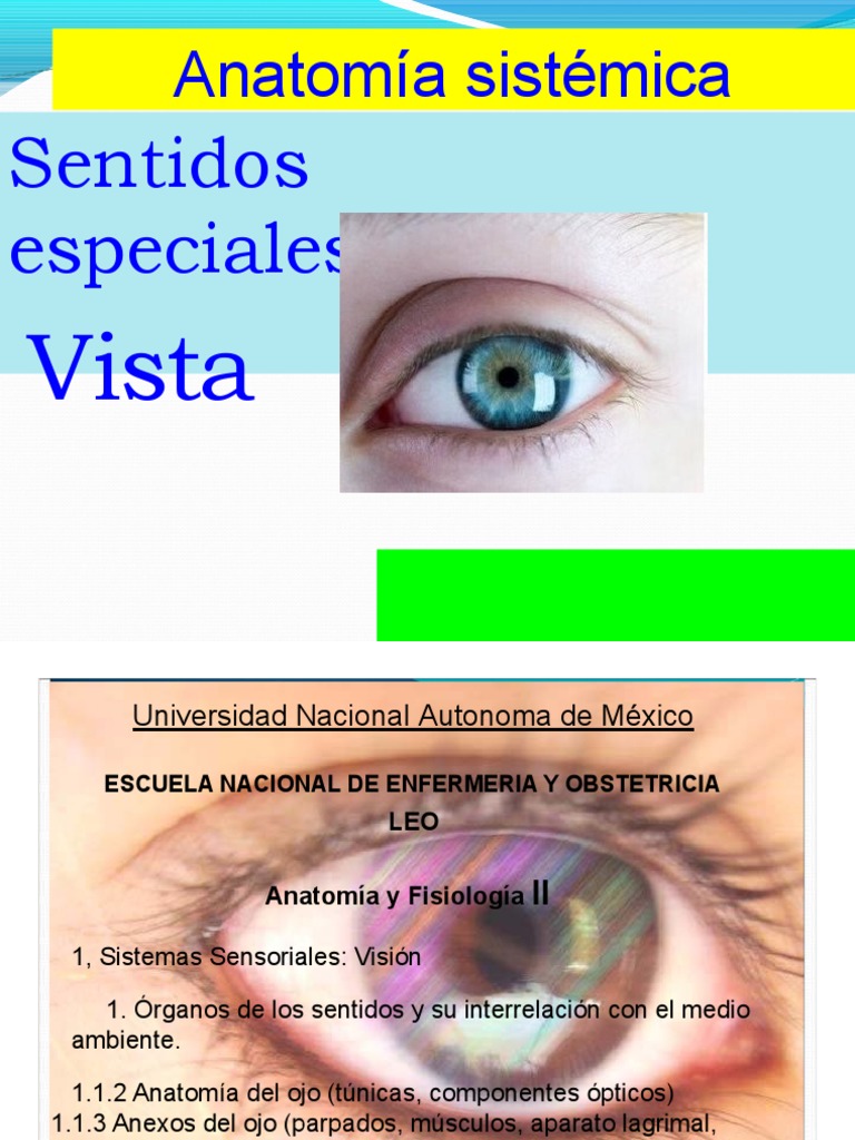 SENTIDO VISTA.pptx | PDF | Ojo humano | Percepción visual