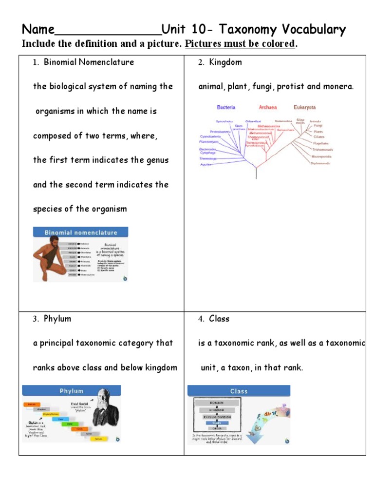 Unit 10 Taxonomy Vocab | PDF | Taxonomy (Biology) | Organisms