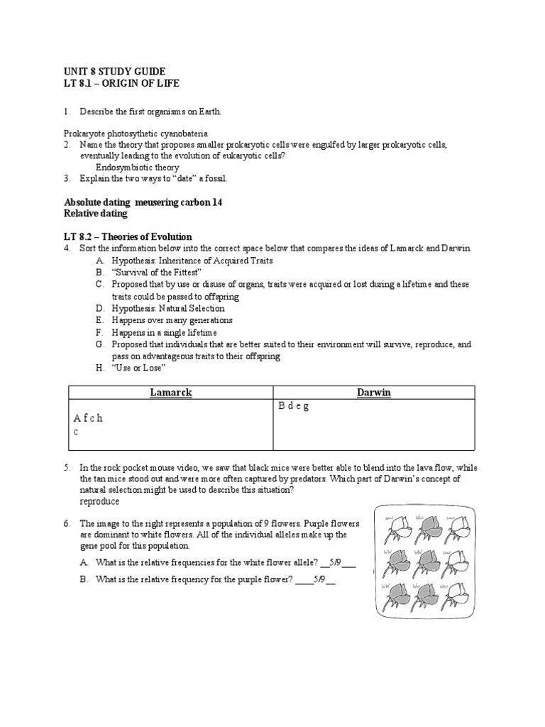 Unit 8 Study Guide | PDF | Evolution | Natural Selection