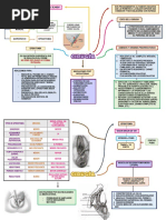 Brandt Andrews | PDF | Partería | Parto