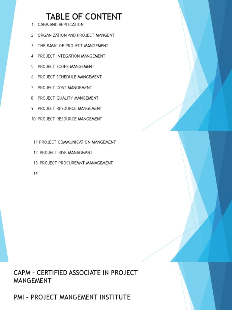 Project Mangement | PDF | Net Present Value | Business Project Mangement | PDF | Net Present Value | Business