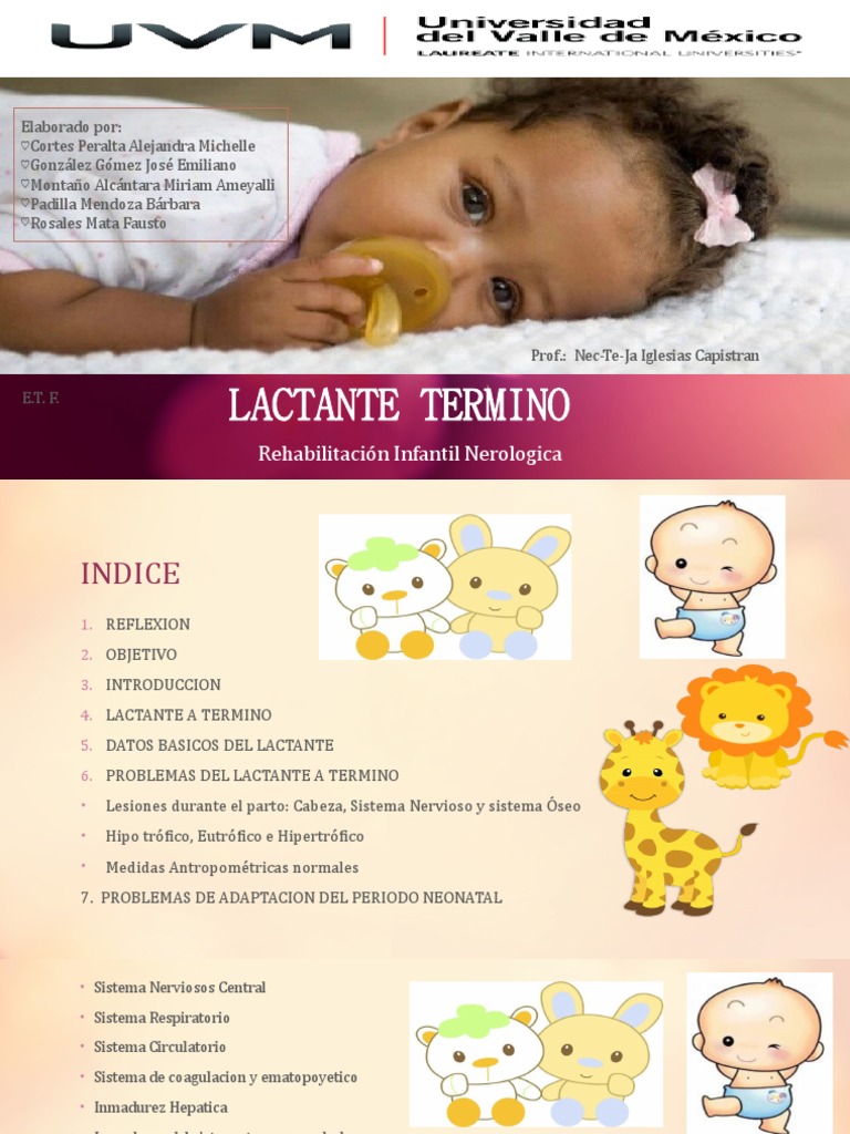 Fisioterpaia Lactante A Termino | PDF | Cerebro | Medicina CLINICA
